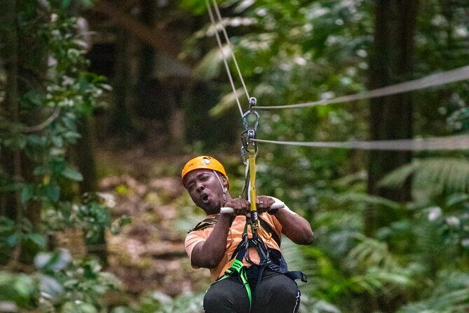 Rainforest Rush: St. Lucia Zip Line Adventure - Key Points