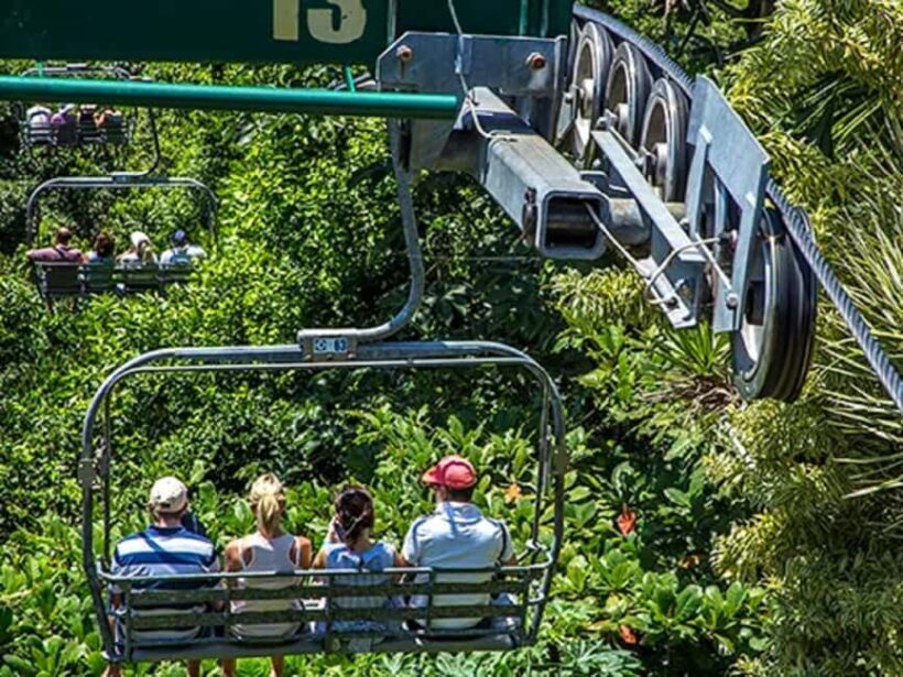 Rainforest Sky Explorer Mystic Mountain transportation - What to Expect from the Mystic Mountain Rainforest Adventure