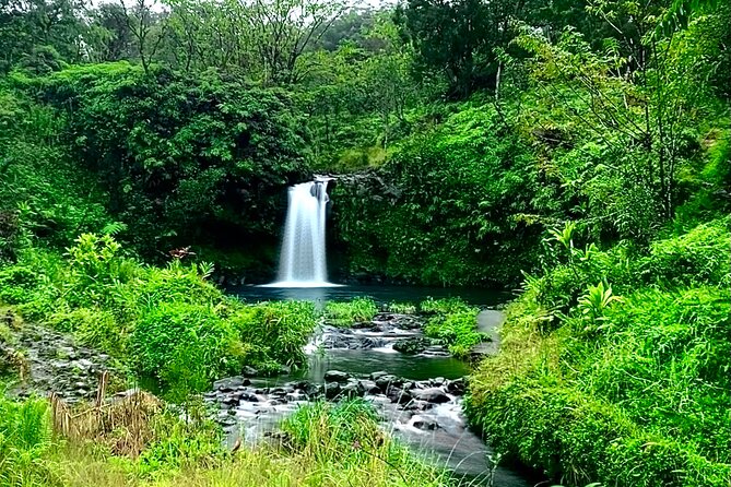Rainforest Tour to Hana and Beyond - The Value of the Tour: What Travelers Say