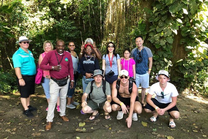 Rainforest Tours in St. Kitts - Key Points