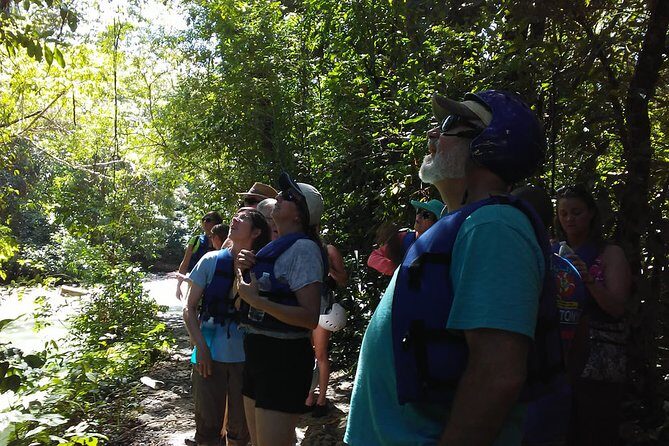 Rainforest Trek to Natural Pool - Taino Bay & Amber Cove Ports - An In-Depth Look at the Rainforest Trek to Natural Pool