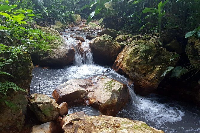 Rainforest Waterfall Adventure - An In-Depth Look at the Rainforest Waterfall Adventure