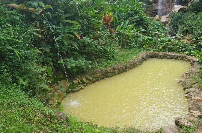 Rainforest Waterfall Adventure - FAQ