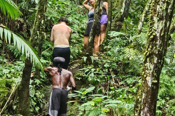 Rainforest Waterfall Hike with Rastafarian Nature Guide - Who Would Love This Tour?
