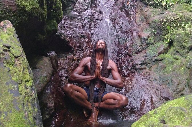 Rainforest Waterfall Hike with Rastafarian Nature Guide - Final Thoughts