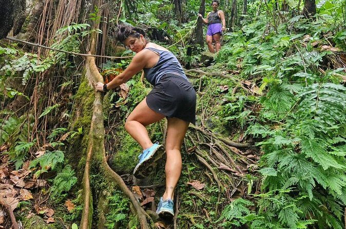 Rainforest Waterfall Hike with Rastafarian Nature Guide - FAQs