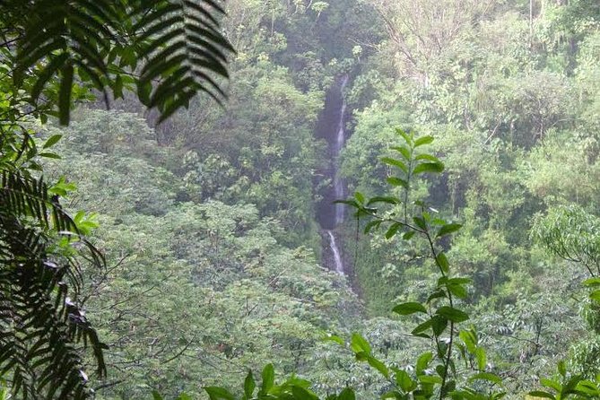 Rainforest Waterfall Trail and Shuttle Service - FAQs