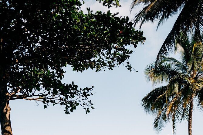 Rainforest Waterslide and Riverpool Beach Tour in Puerto Rico - Itinerary Breakdown: What to Expect