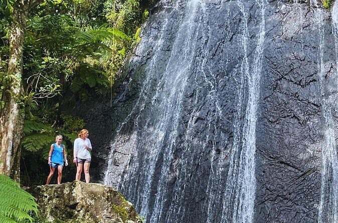 Rainforest Waterslide and Riverpool Beach Tour in Puerto Rico - The Sum Up