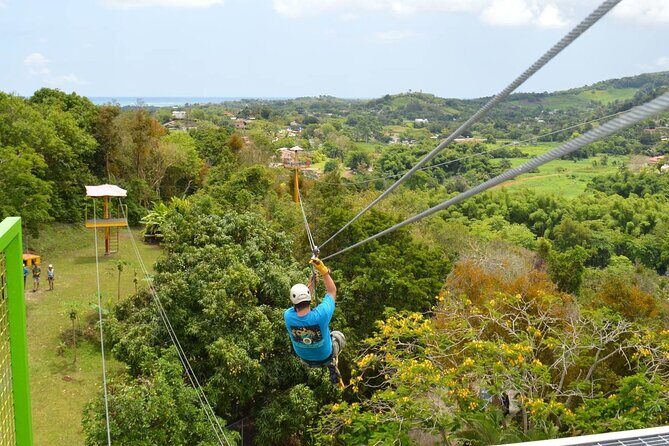Rainforest Zipline in Foothills of the National Rainforest - Key Points