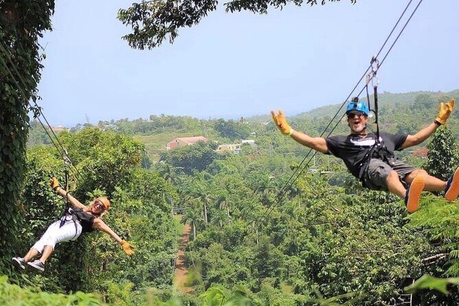 Rainforest Zipline in Foothills of the National Rainforest - Practical Tips for Booking and Preparing