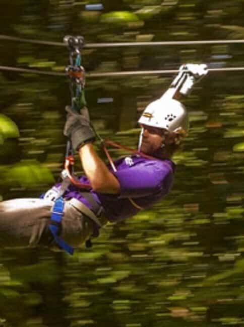 Rainforest Zipline Mystic Mountain trip - What Is the Rainforest Zipline Mystic Mountain Tour?