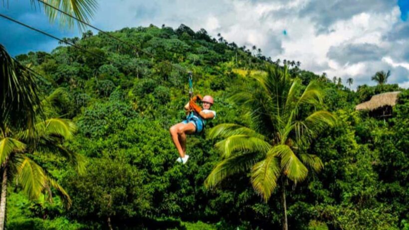 Rainforest Ziplining Adventure - The Itinerary and Experience Breakdown