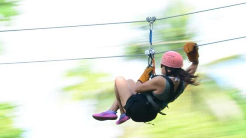 Rainforest Ziplining Adventure - Pricing and Value