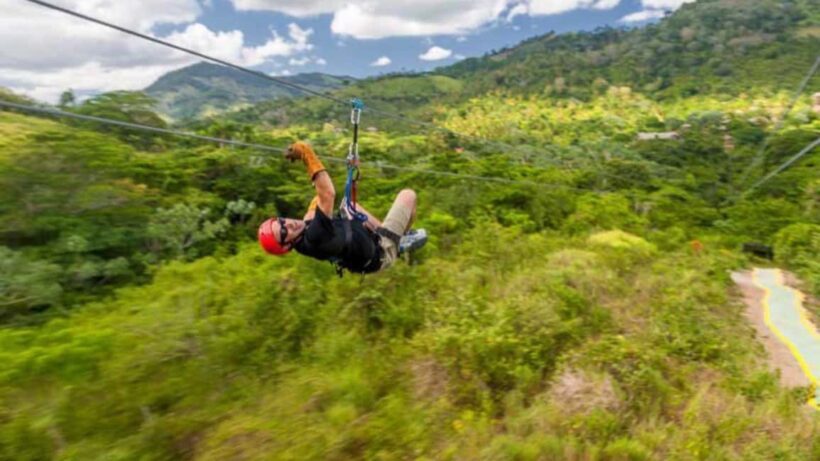 Rainforest Ziplining Adventure - Authentic Experiences and Guest Feedback