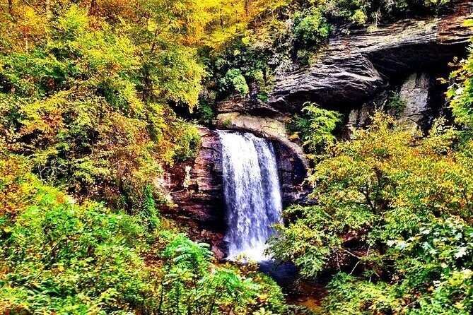 Rainforests and Waterfalls of Western NC - Key Points