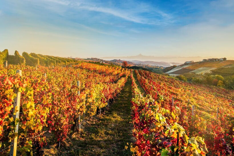 Raise a Glass: Exclusive Wine Experiences Near Orvieto - Key Points