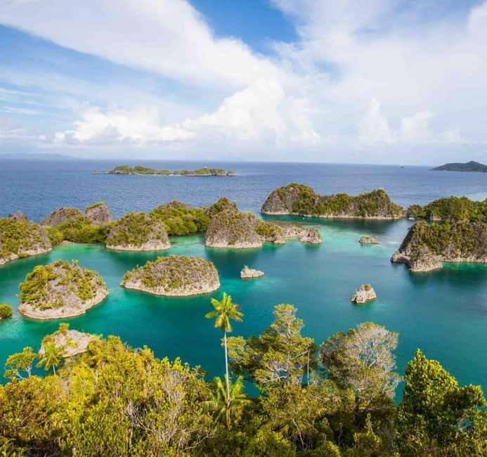 Raja Ampat Tour 14 Days  Explore Papuas Ocean Paradise - The Sum Up