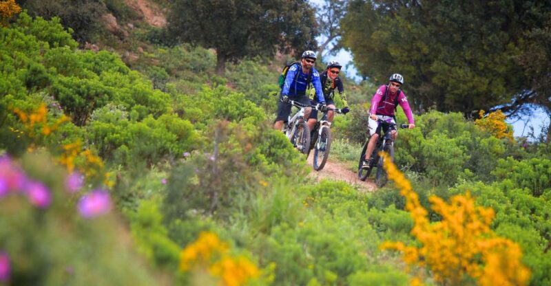 Ramatuelle: Tracks & Tasting Winery Tour by Mountain E-Bike - Key Points