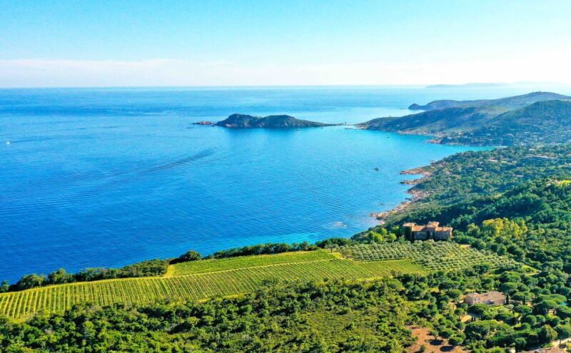 Ramatuelle: Tracks & Tasting Winery Tour by Mountain E-Bike - Who Will Love This Tour?