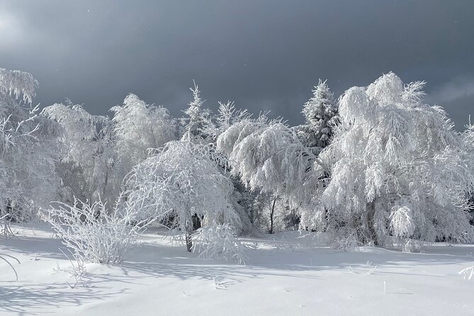 Rambling in Transylvania - Authentic Experiences & Why They Matter