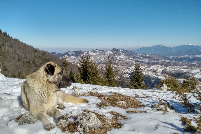 Rambling in Transylvania - Who Will Love This Tour?