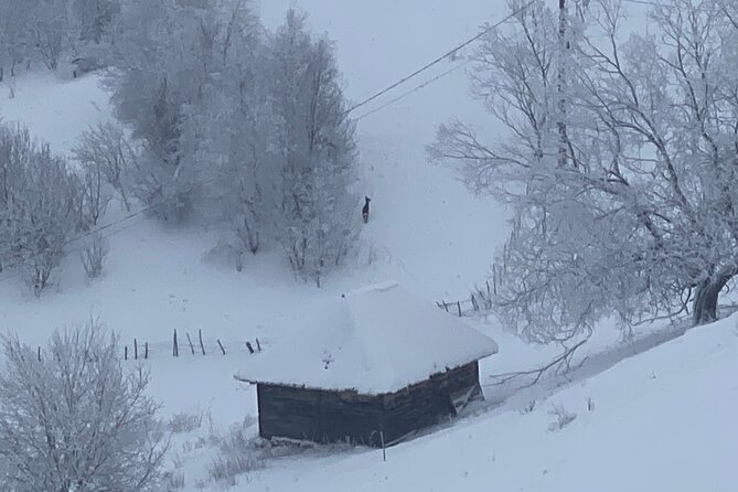 Rambling in Transylvania - Final Thoughts