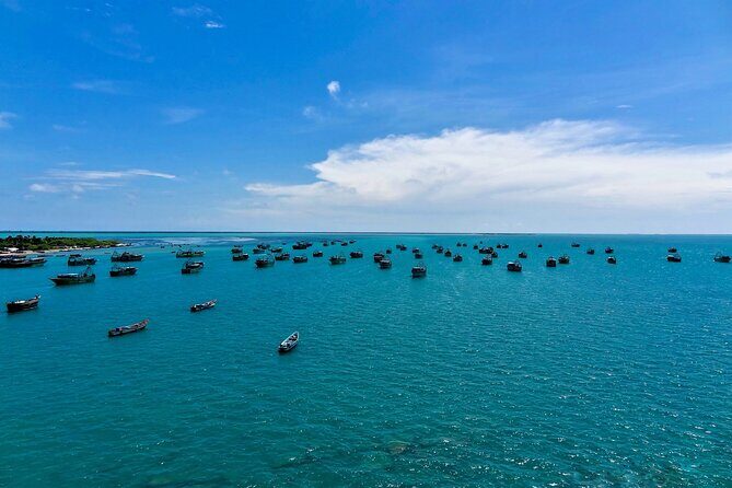 Rameshwaram Heritage and Private Walking Trail - Who Should Consider This Tour?