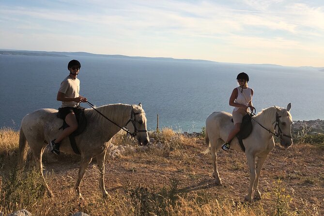Ranch 22 Podstrana, Horse Riding 12 Km From SPLIT - Customer Feedback and Highlights
