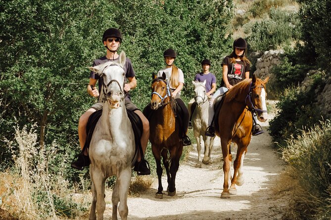 Ranch 22 Podstrana, Horse Riding 12 Km From SPLIT - Dining and Refreshments