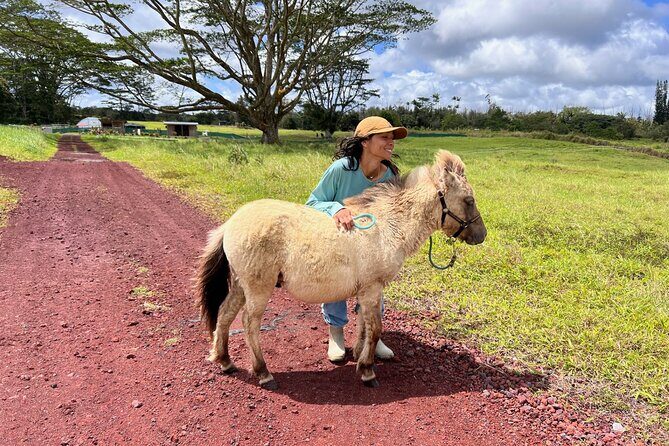 Ranch Tour & Animal Encounters - Key Points