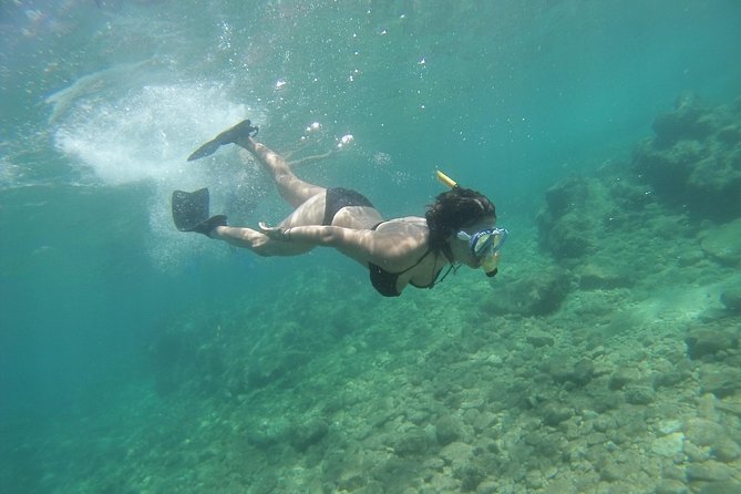 Rando-Palmée Getaway Around an Island - Insights From Knowledgeable Local Guides