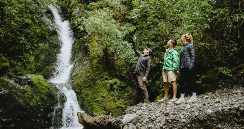 Rangitaiki River: Motu River Jet Boat Tour - Key Points