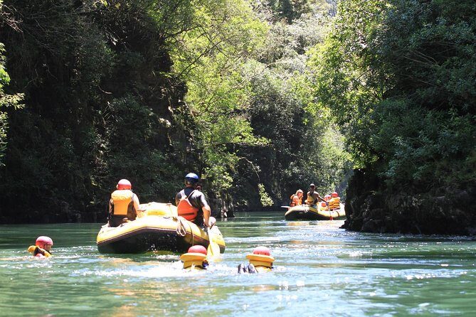 Rangitaiki River White Water Scenic Rafting from Rotorua - Why You’ll Love the Rangitaiki River Scenic Rafting Experience