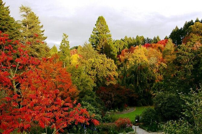 Rangitaiki River White Water Scenic Rafting from Rotorua - Practical Details and What to Pack