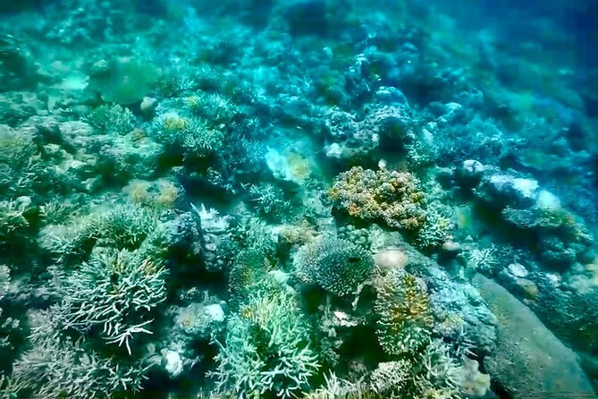 Rangko Cave & Beach Snorkeling Half Day Sharing Trip Labuan Bajo - Transportation and Group Size