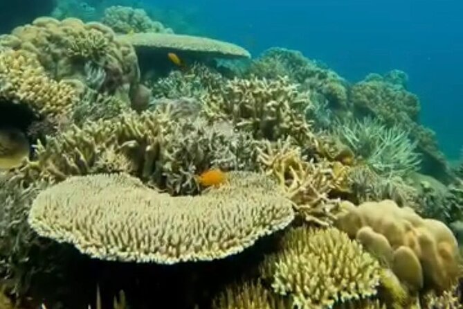 Rangko Cave & Beach Snorkeling Half Day Sharing Trip Labuan Bajo - Practical Tips