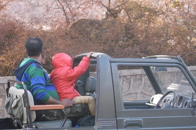 Ranthambhore National Park - The Itinerary in Detail