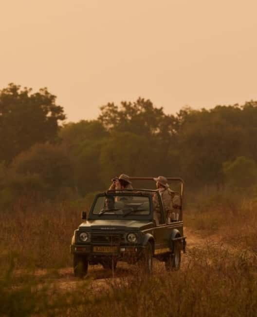 Ranthambhore: Ranthambhore Tiger Reserve Booking - What the Ranthambore Safari Has to Offer