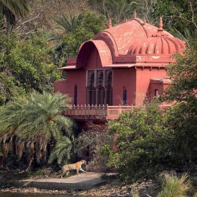 Ranthambhore: Ranthambhore Tiger Reserve Booking - What the Guides Do Well (and Where They Sometimes Falter)