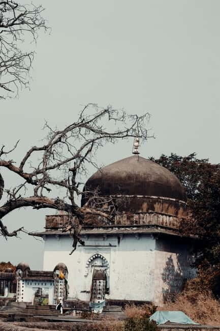 Ranthambore National Park: Safari Ticket with Pickup Option - Summary: Is It Worth It?