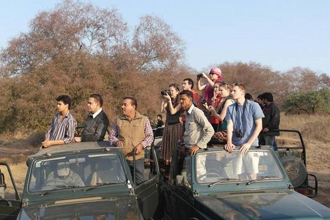 Ranthambore Safari | Bird Watching | Agra & Delhi from Jaipur - What the Reviews Reveal