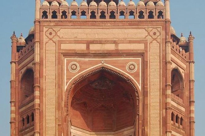 Ranthambore Safari | Bird Watching | Agra & Delhi from Jaipur - The Sum Up