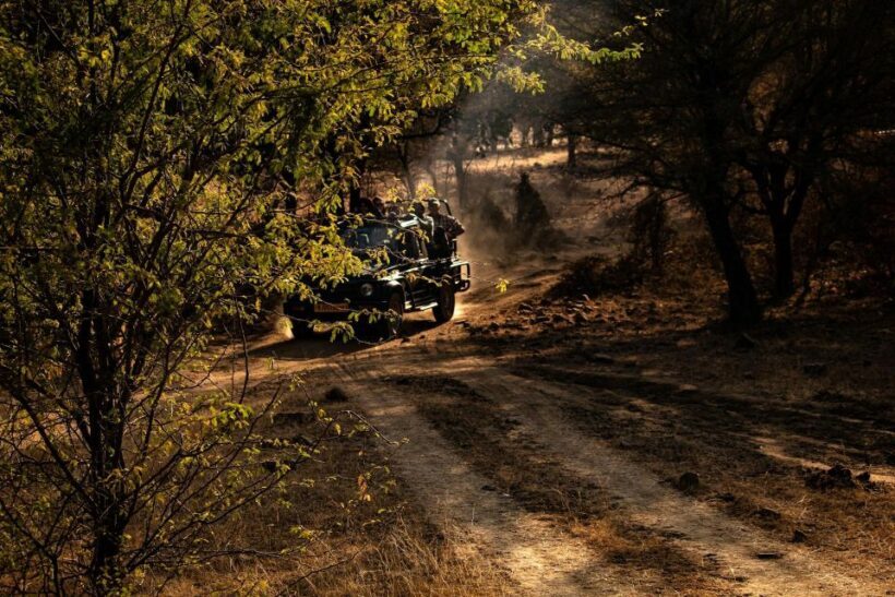 Ranthambore safari by Canter ( 20 seater bus) - The Value and Price: Is It Worth It?