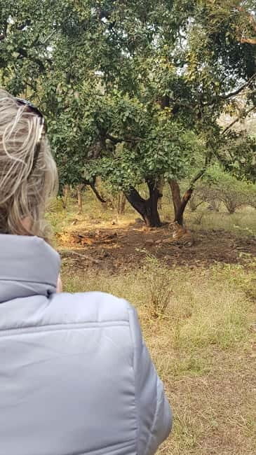 Ranthambore: Shared Tiger Safari in Canter or Gypsy - Key Points