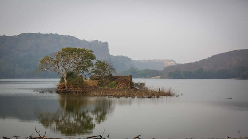 Ranthambore: Shared Tiger Safari in Canter or Gypsy - An Authentic Run-Through of the Safari Experience