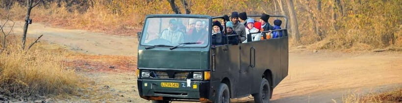 Ranthambore: Skip-the-Line Tiger Safari in Sharing Canter - The Sum Up: Is This Safari Right for You?