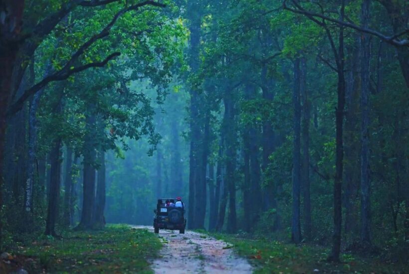 Ranthambore: Skip-the-Line Tiger Safari in Sharing Canter - Booking and Practical Considerations
