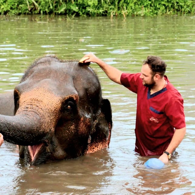 Rantong elephant sanctuary Chiangmai - The Itinerary: A Closer Look