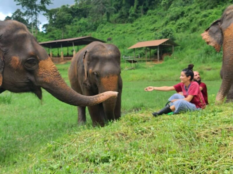 Rantong elephant sanctuary Chiangmai - Who Should Consider This Tour?